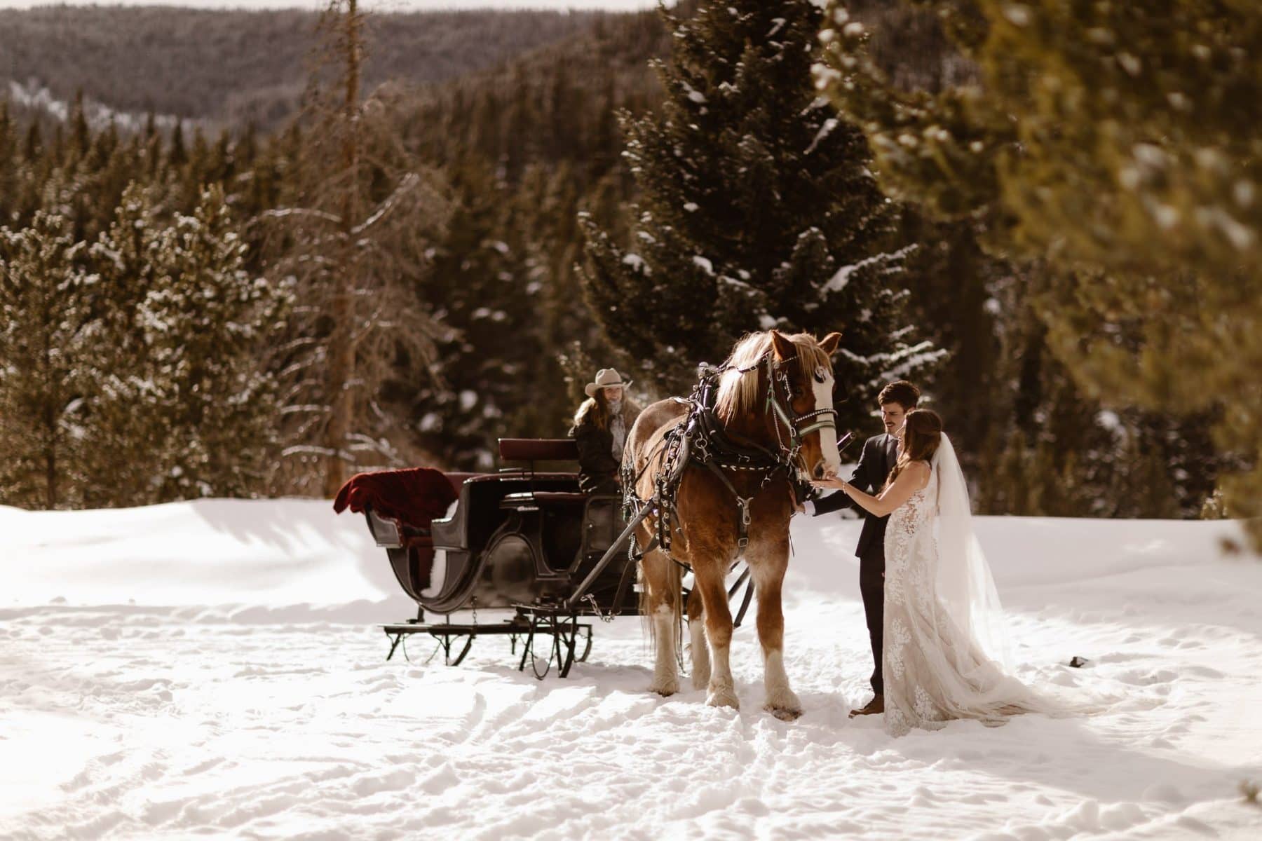 Horse Drawn Sleigh Ride Winter Elopement | Breckenridge, Colorado